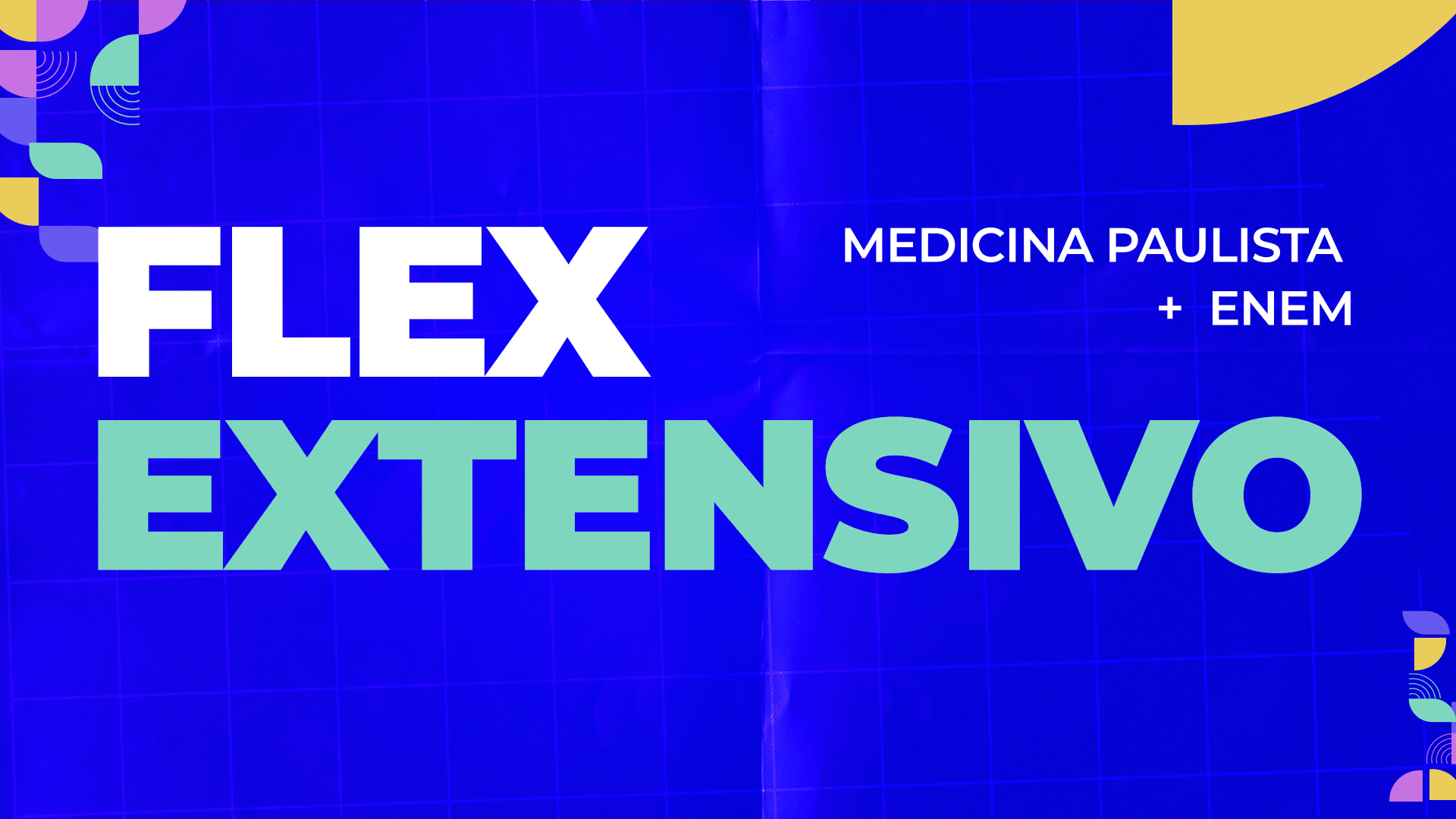 Plano Flex Extensivo - Professor Pinguim